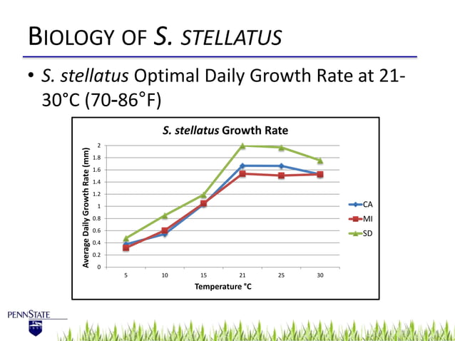 Thatch collapse | PPTX