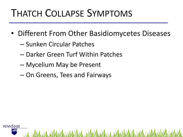 Thatch collapse | PPTX