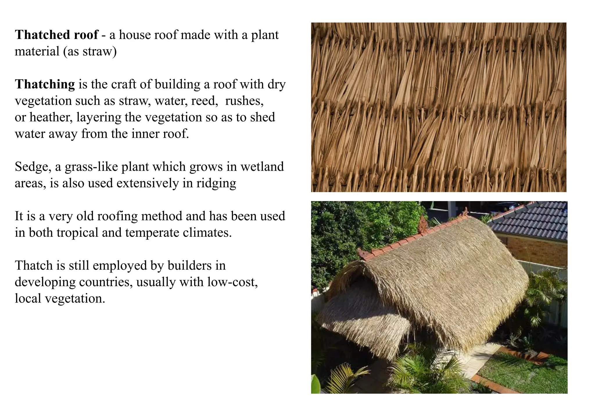 Thatch Roof.pdf
