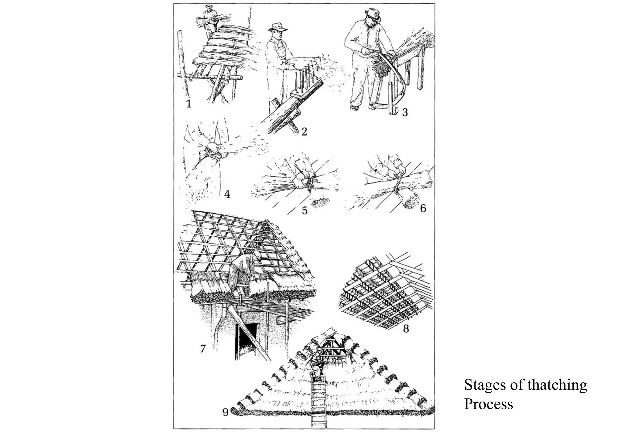 Thatch Roof.pdf