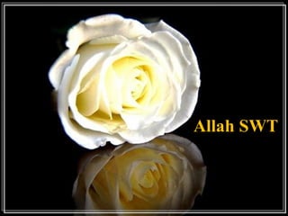 Allah SWT | PPT