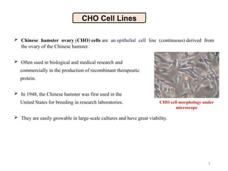 Thawing, and Passaging of CHO Cell Lines.pptx