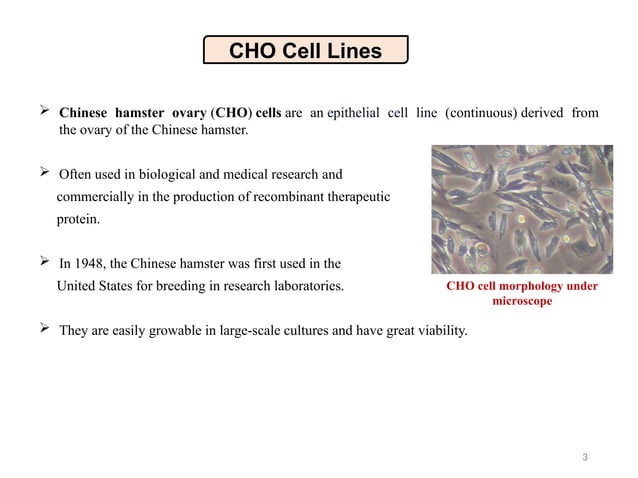 Thawing, and Passaging of CHO Cell Lines.pptx
