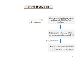 Thawing, and Passaging of CHO Cell Lines.pptx