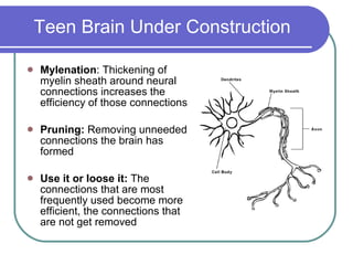 Thc and teen brain | PPT