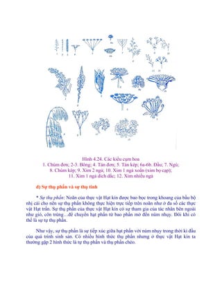 Thực vật học | DOC