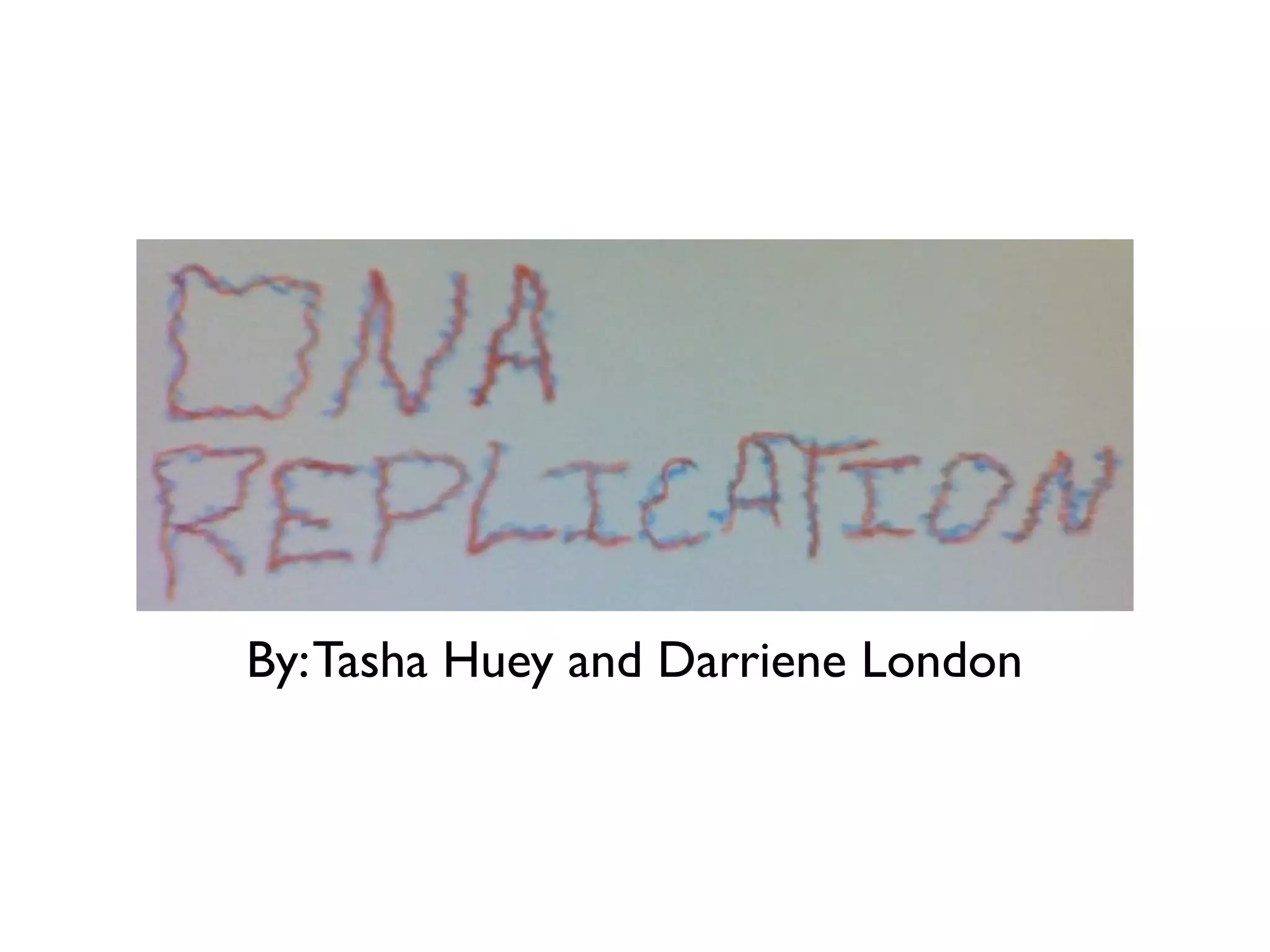 DNA Replication Model | PPT