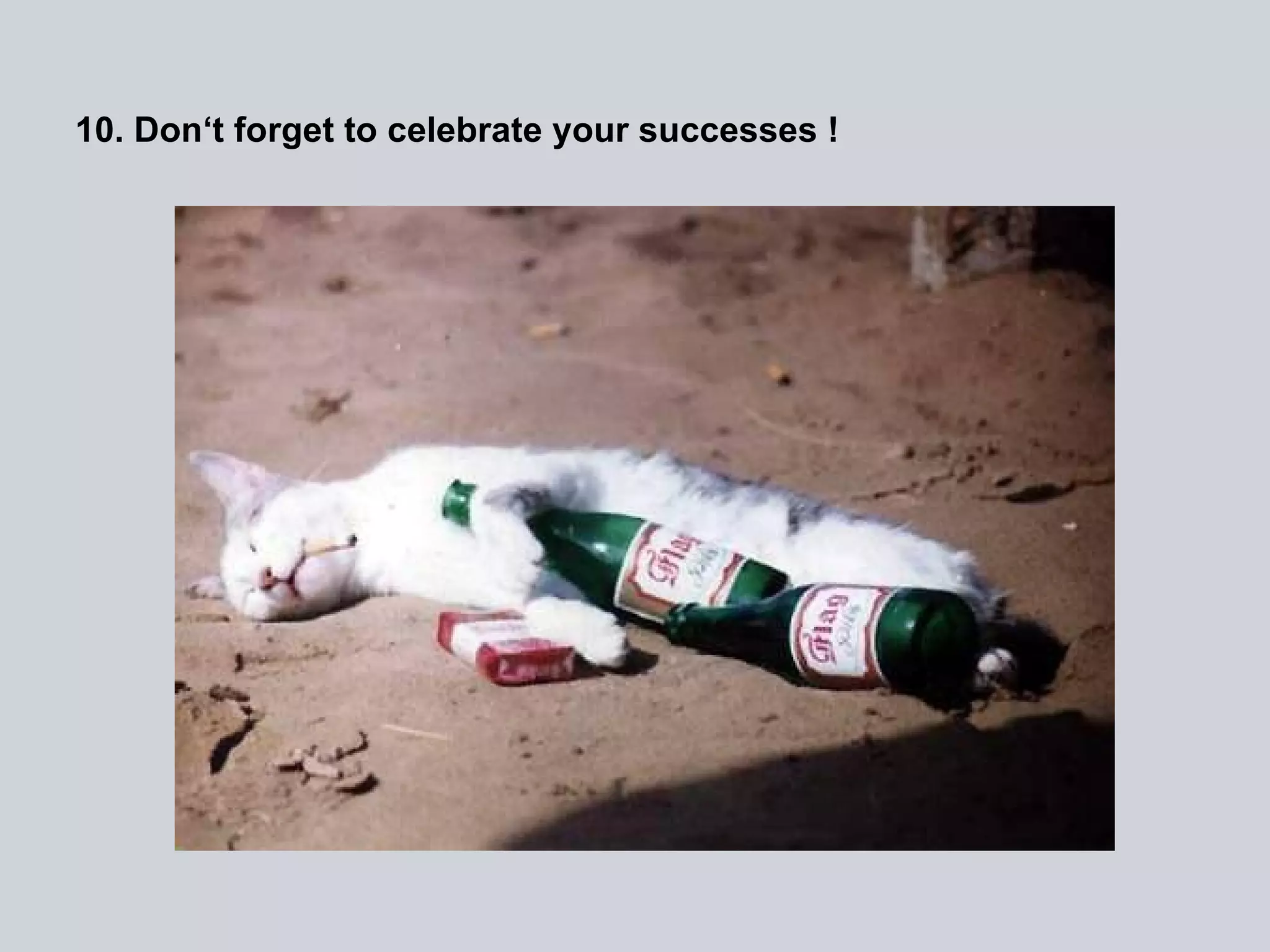 The 10 Commandments For Success | PPT