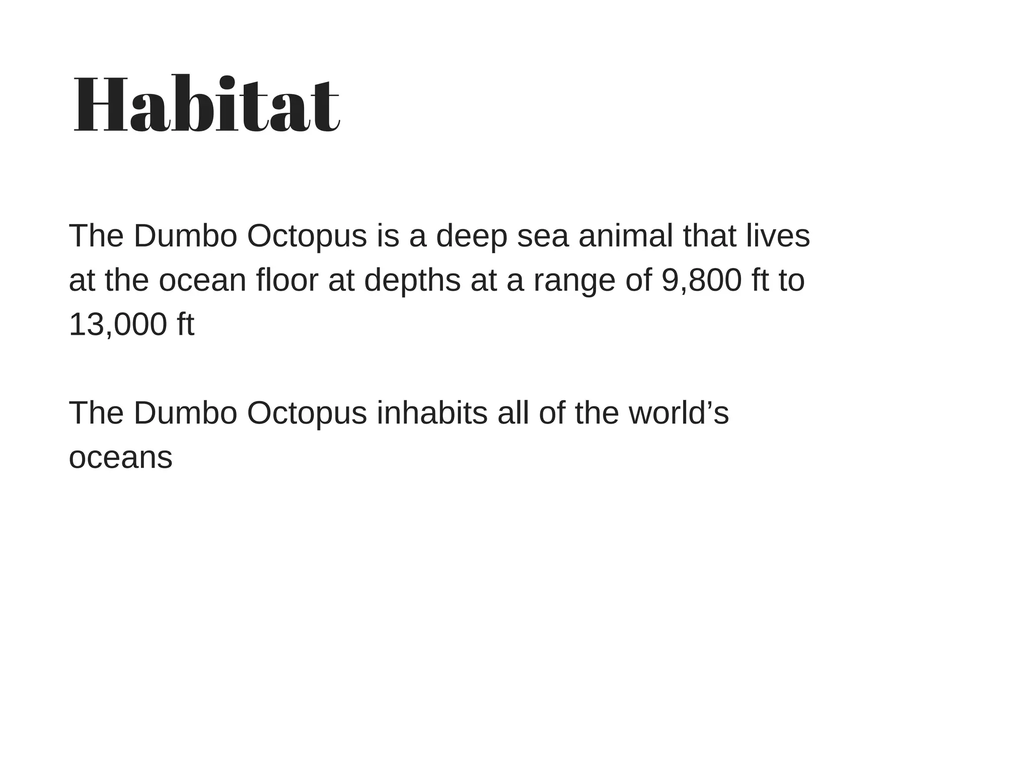 The Dumbo Octopus and Facts about it's species | PPT