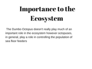 The Dumbo Octopus and Facts about it's species | PPT