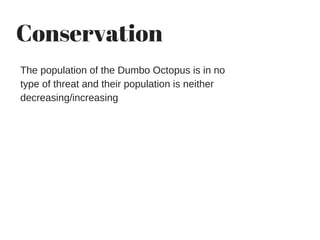 The Dumbo Octopus and Facts about it's species | PPT