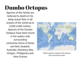 The Dumbo Octopus and Facts about it's species | PPT