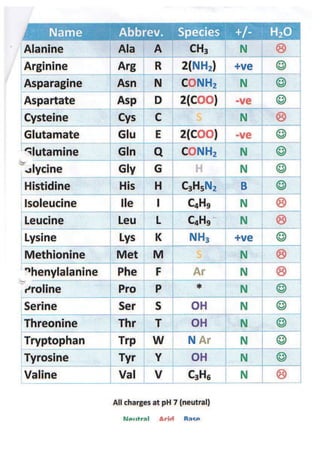 20 Amino Acids List