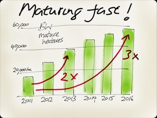 The 13 BWs, maturing fast, perfect storms, 1 q rebound | PDF