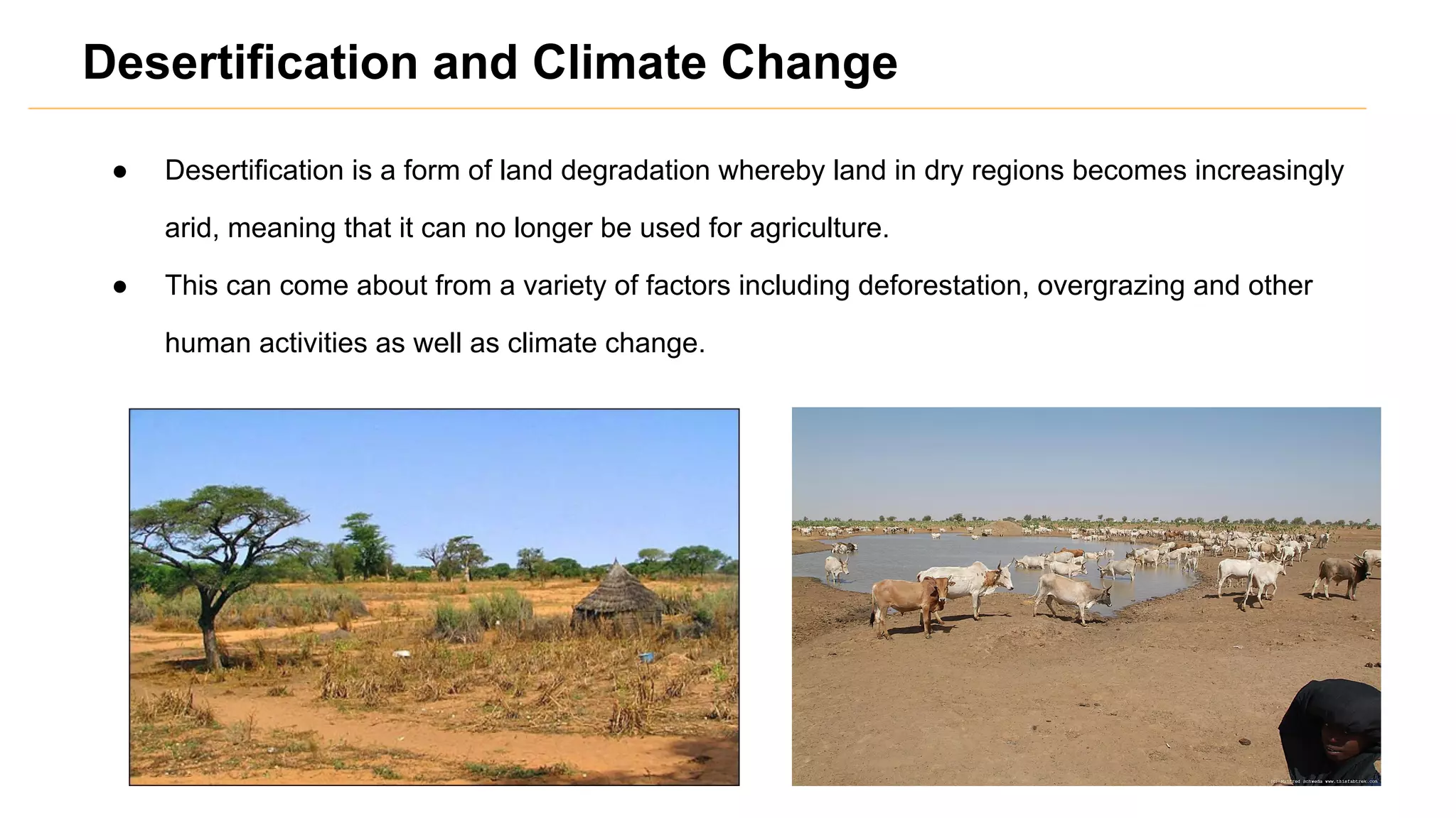The great green wall | PDF