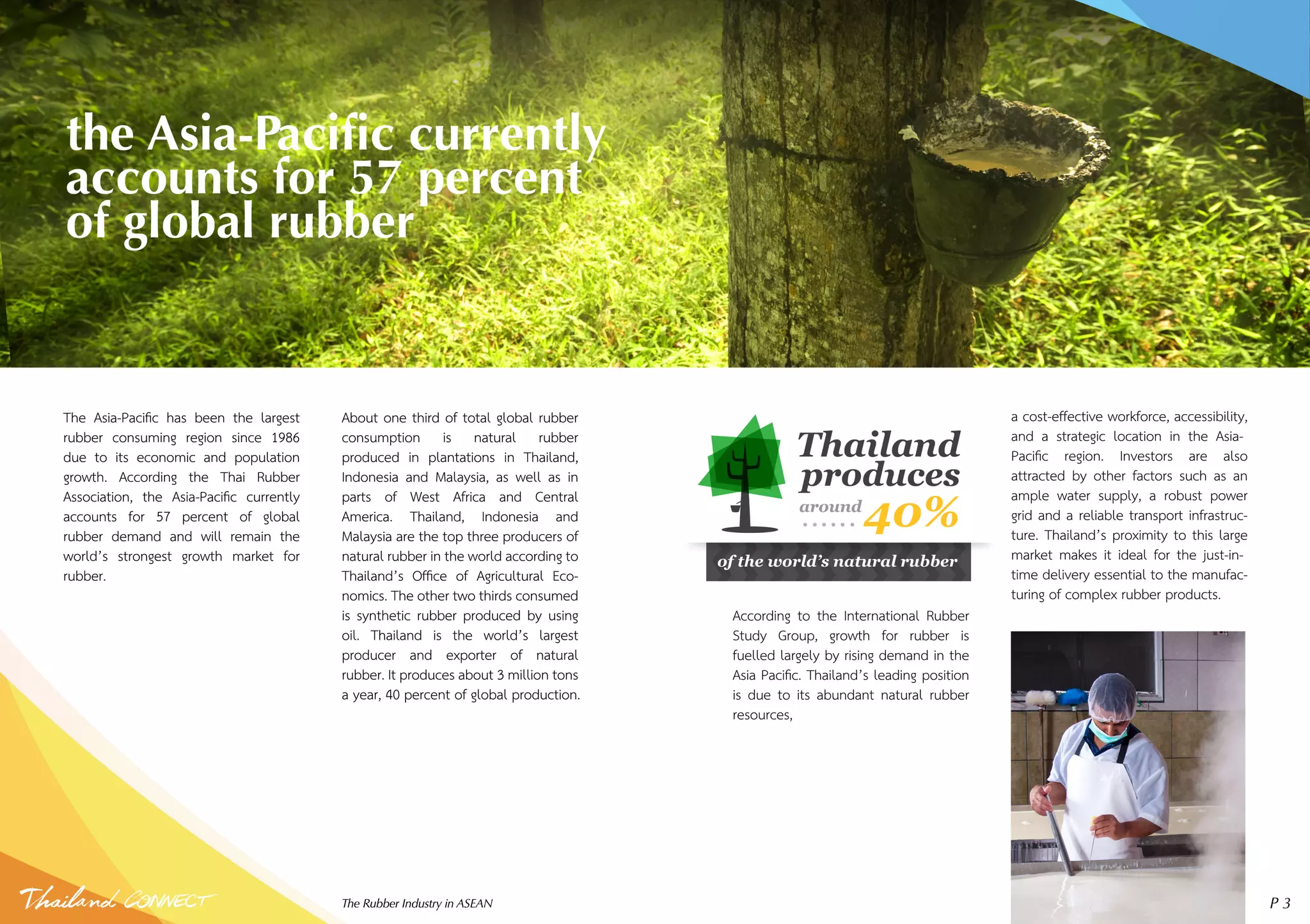 The Rubber Industry in ASEAN | PDF