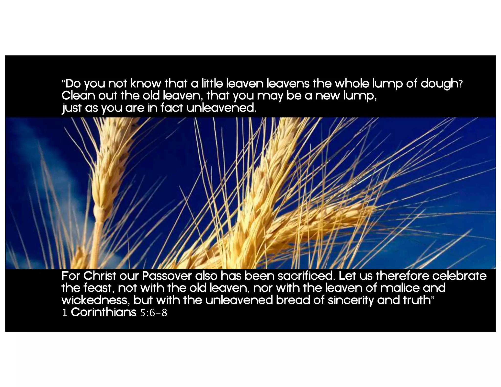 The Seven Feasts of Israel | PDF