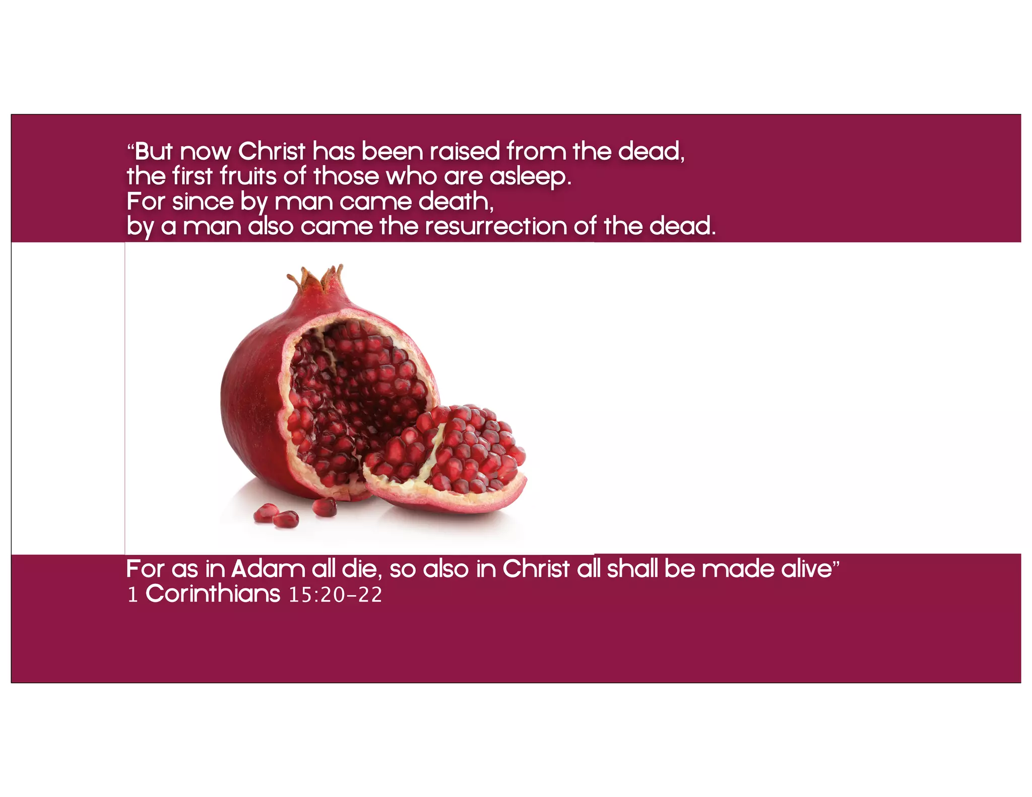 The Seven Feasts of Israel | PDF