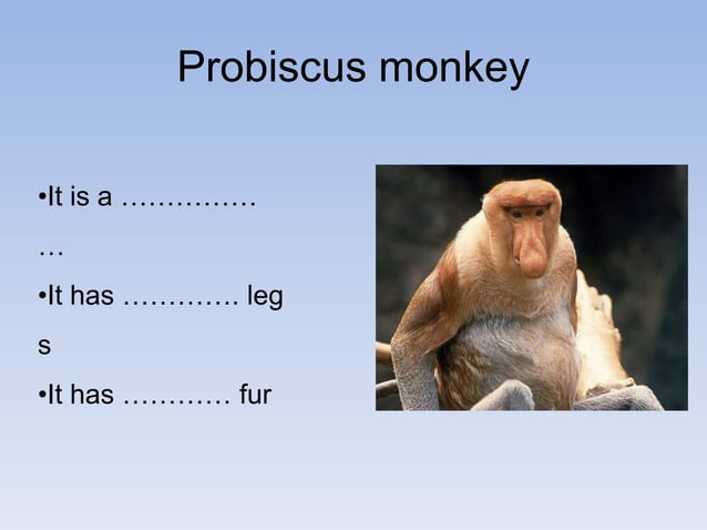 The world's ugliest animal | PPT