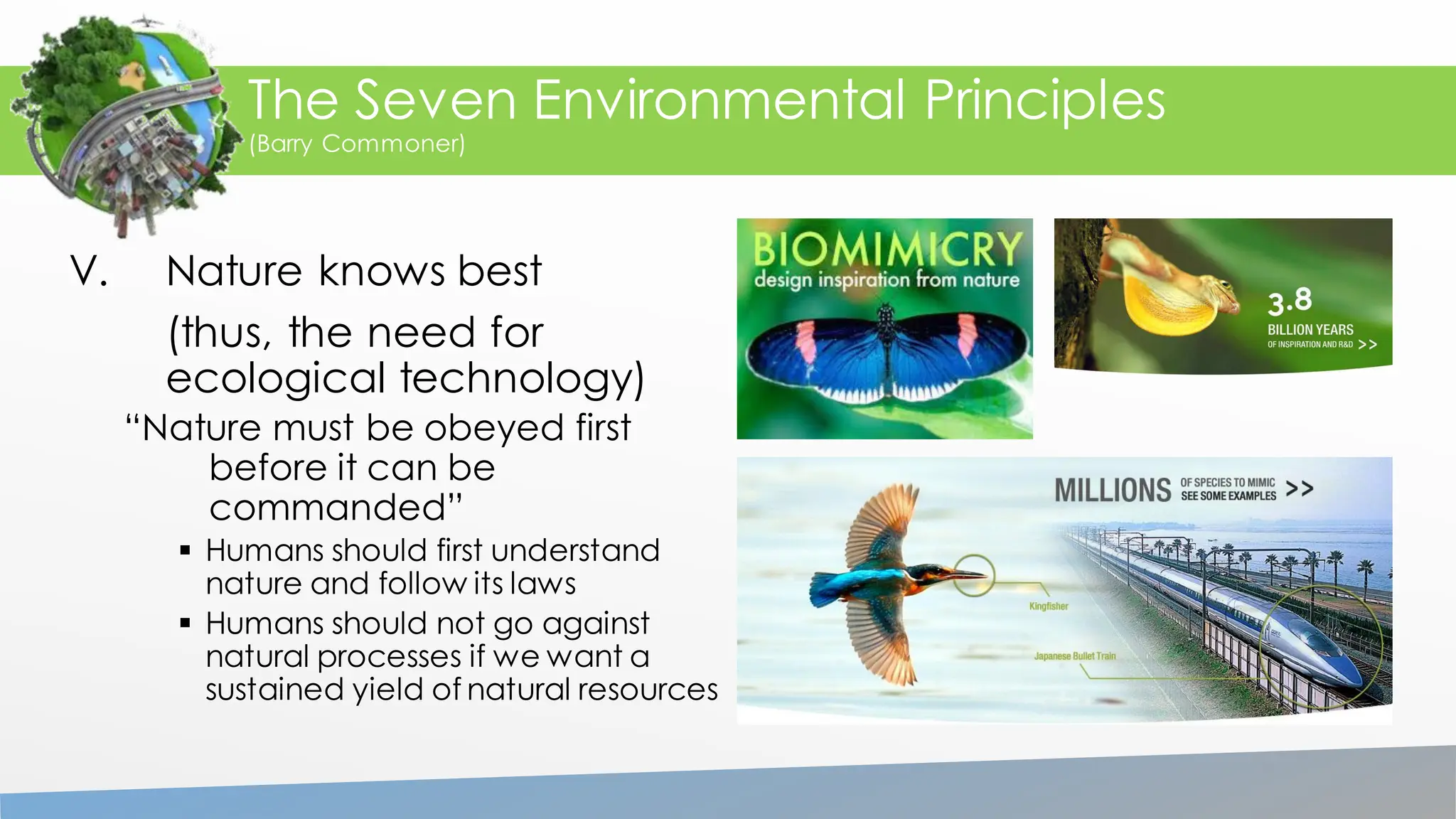 The-Seven(7)-Environmental-Principles-.pdf