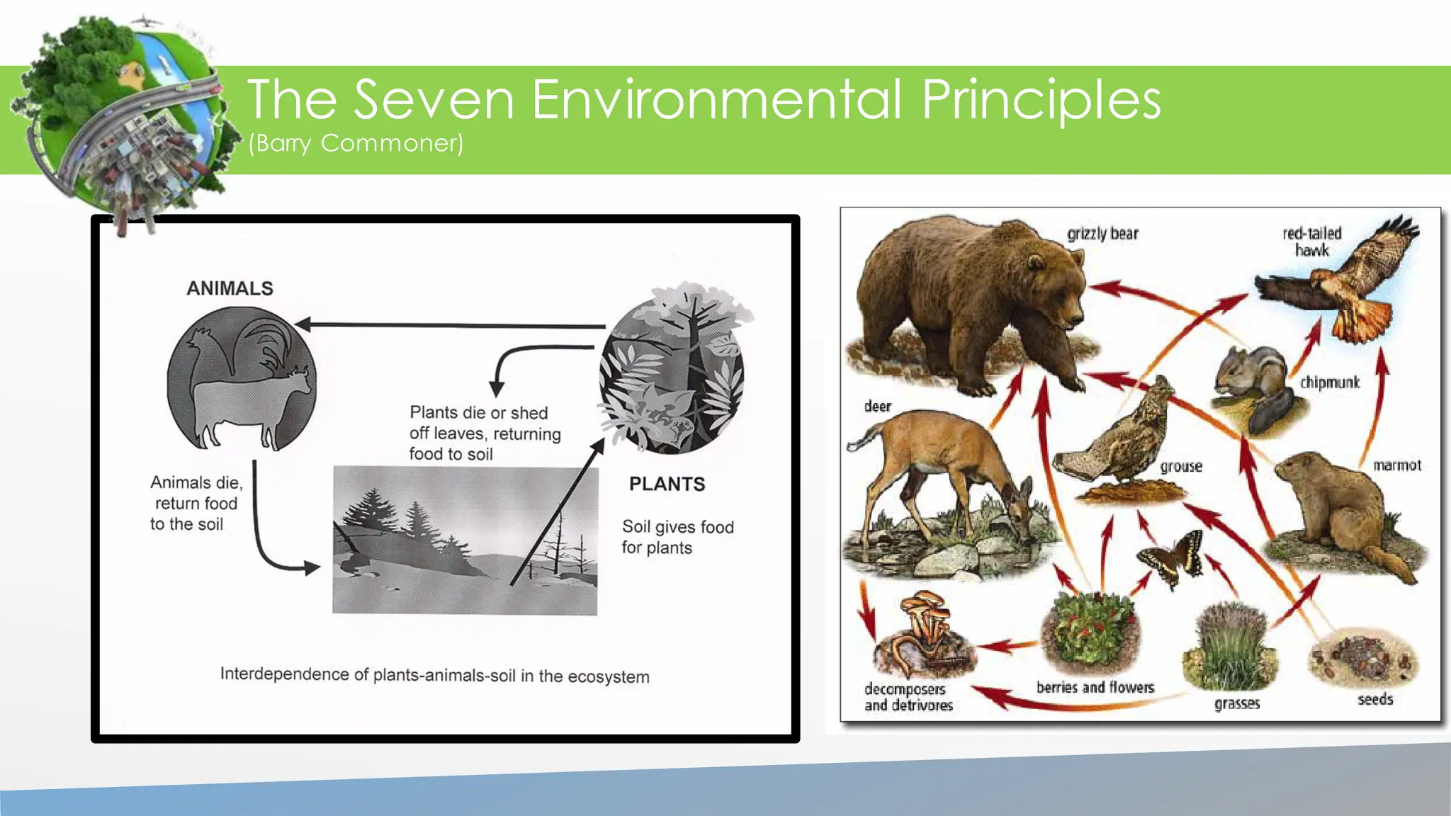The-Seven(7)-Environmental-Principles-.pdf