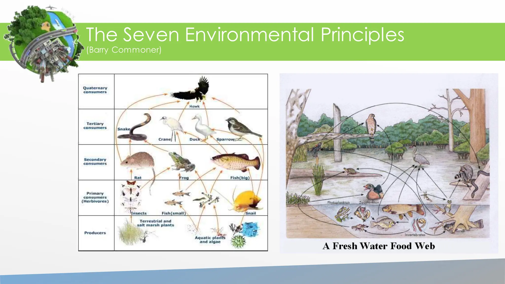 The-Seven(7)-Environmental-Principles-.pdf