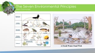 The-Seven(7)-Environmental-Principles-.pdf