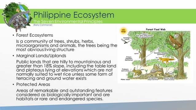 The-Seven(7)-Environmental-Principles-.pdf