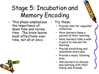 The 7 Stage Brain Based Learning Lesson Planning | PPT