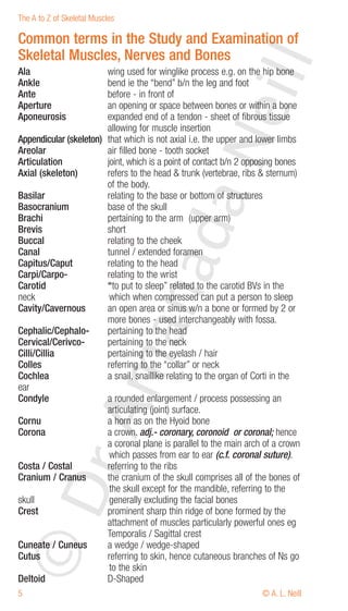 The a-to-z-of-skeletal-muscles-110430042637-phpapp02 | PDF
