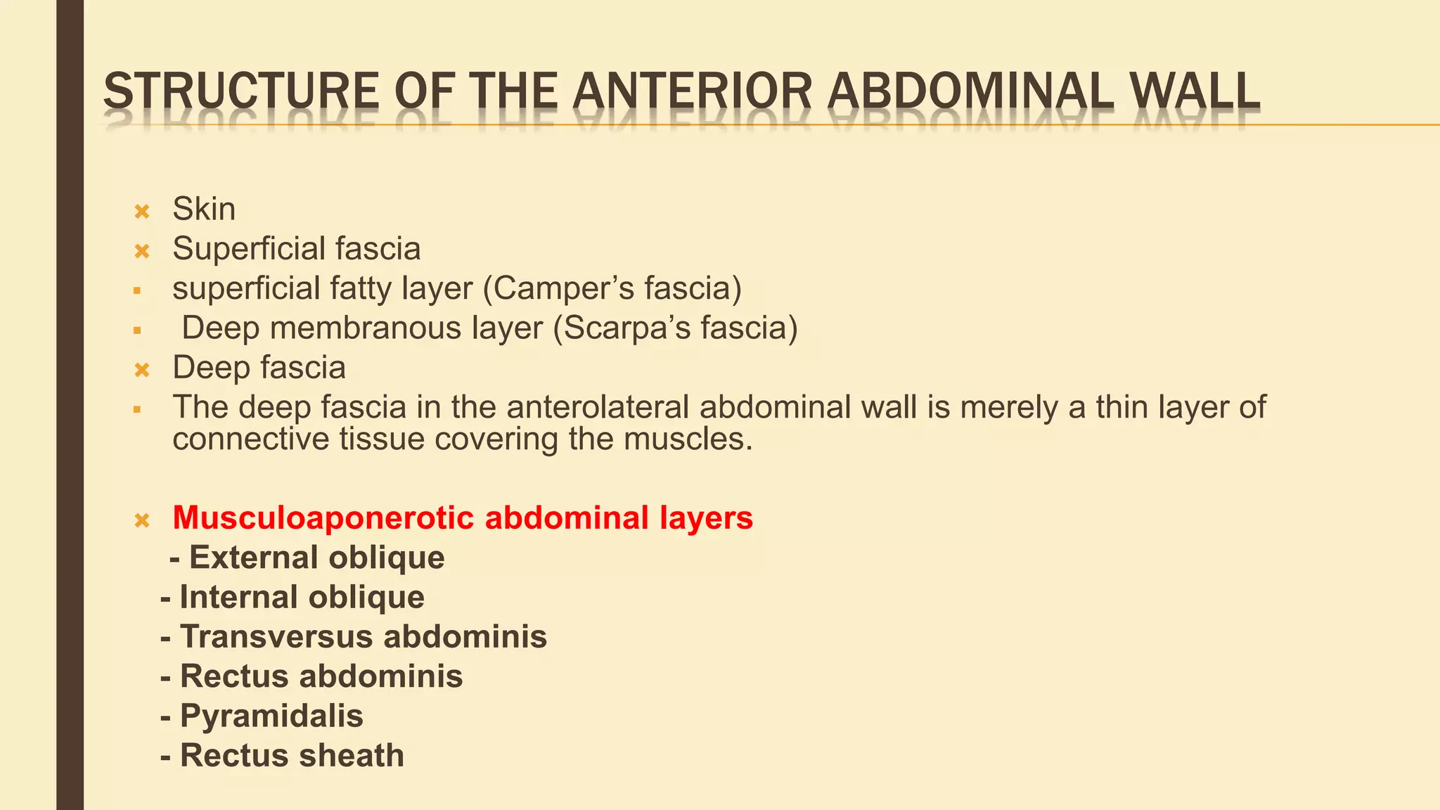 The-abdominal-wall-2.pptx