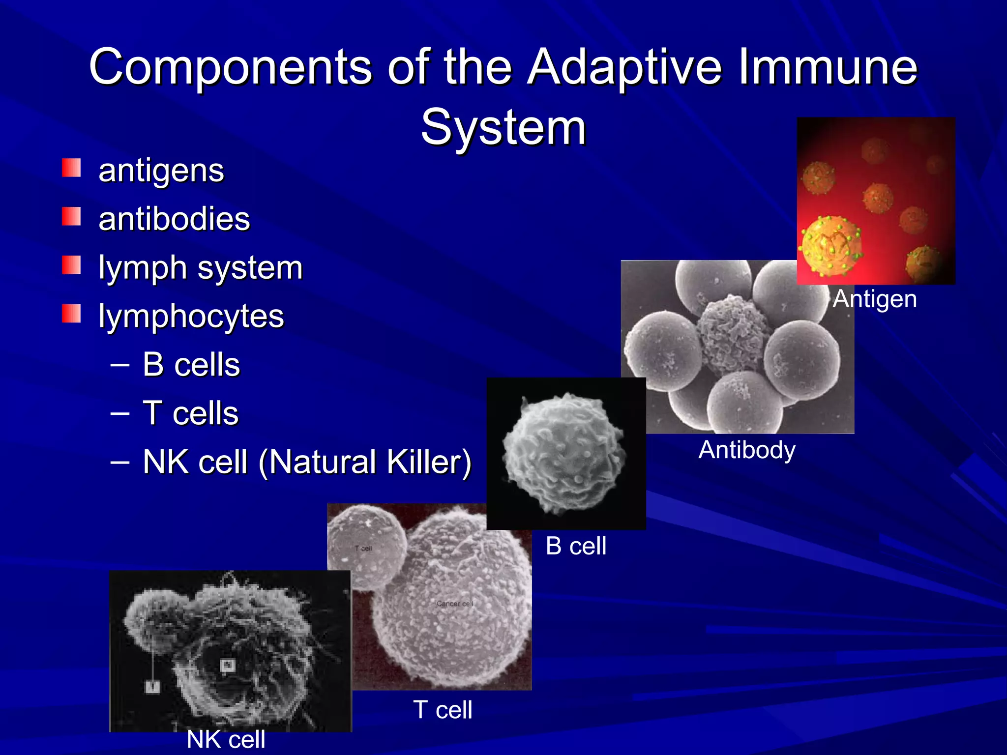 The adaptive-immune-response albayati | PPT