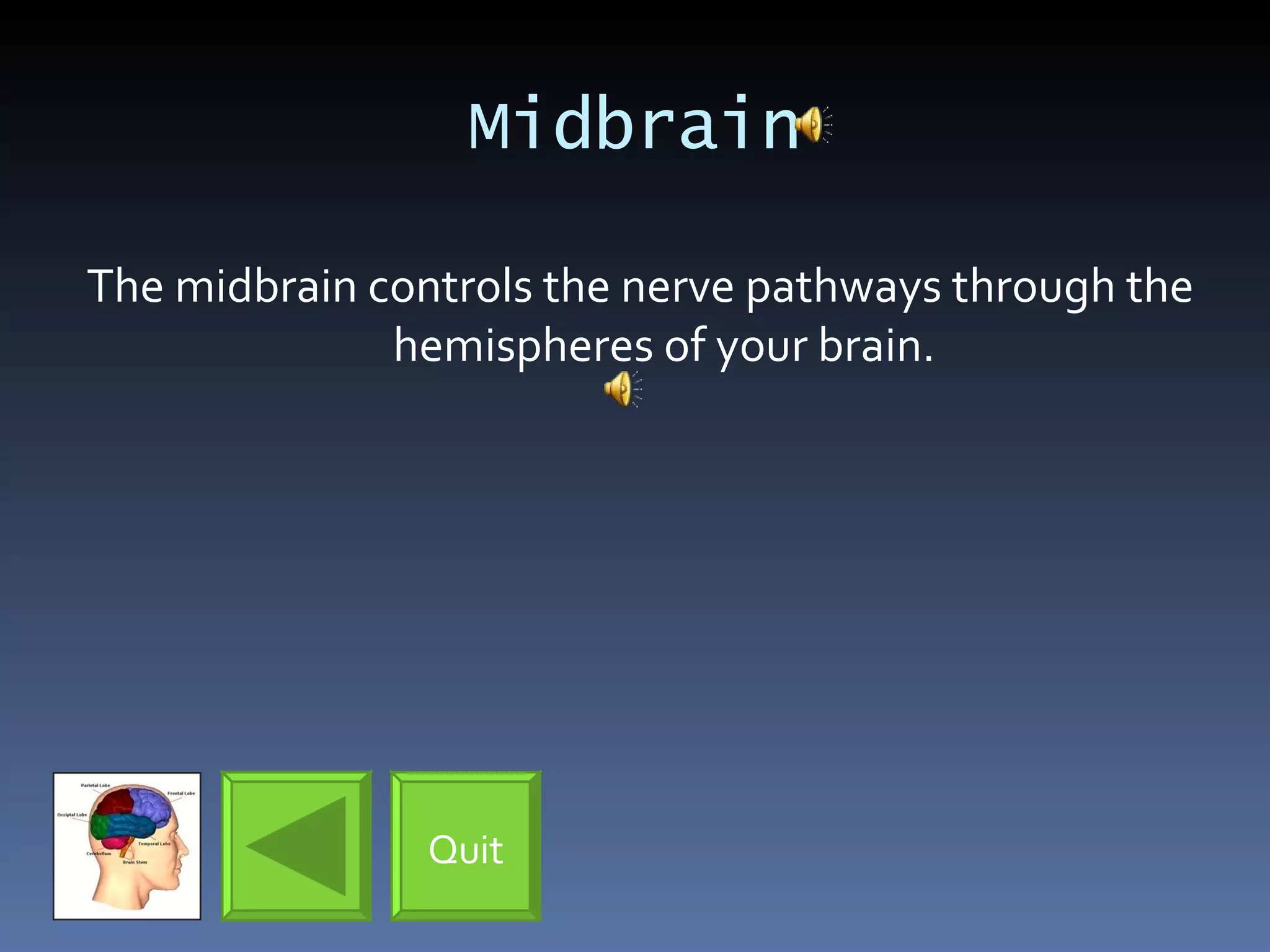 The Amazing Brain | PPT