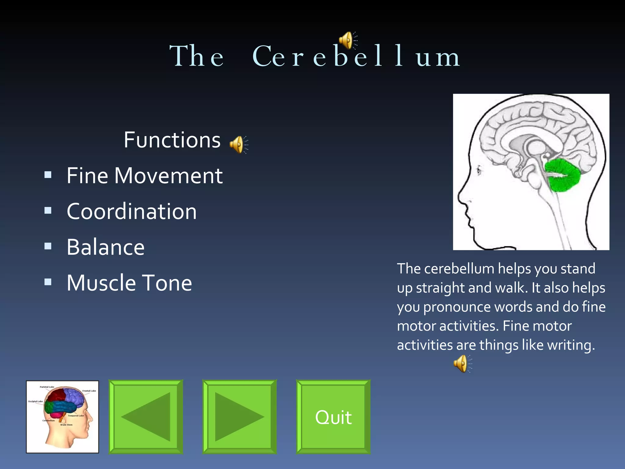 The Amazing Brain | PPT