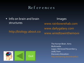 The Amazing Brain | PPT