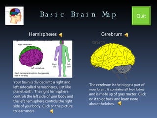 The Amazing Brain | PPT