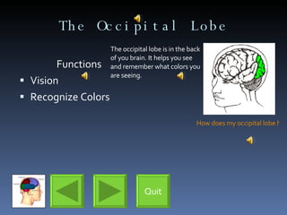 The Amazing Brain | PPT