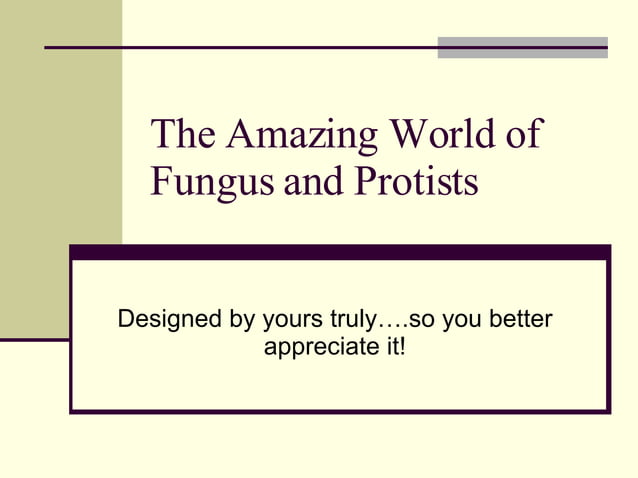 The Amazing World Of Fungus And Protists | PPT