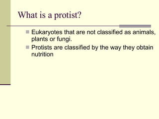 The Amazing World Of Fungus And Protists | PPT
