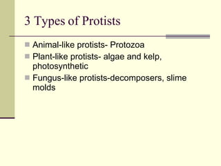 The Amazing World Of Fungus And Protists | PPT