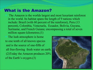 T07_The AmazonRainforest_0842075 | PPT