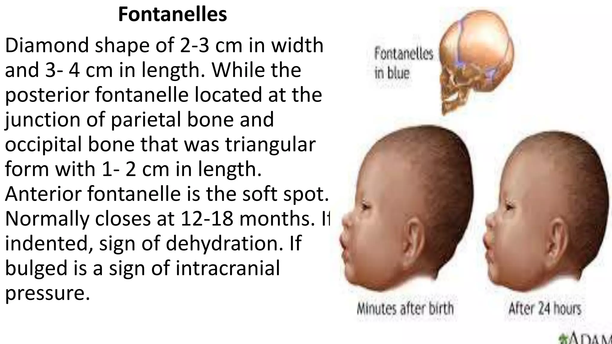 THE-APPEARANCE-OF-A-NEWBORN-ppt_(1).pptx