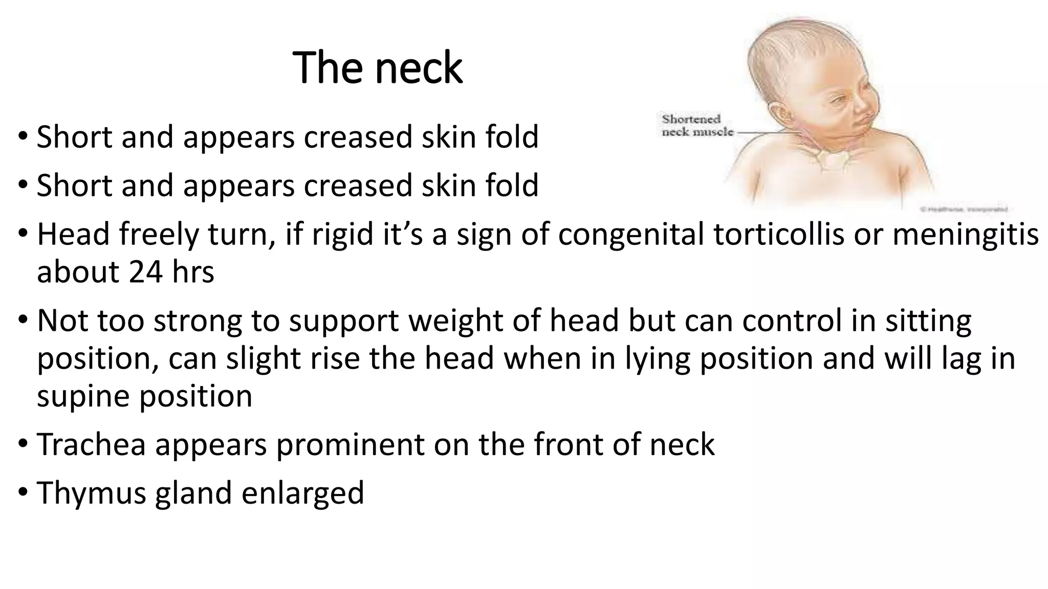 THE-APPEARANCE-OF-A-NEWBORN-ppt_(1).pptx