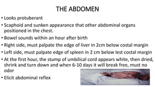 THE-APPEARANCE-OF-A-NEWBORN-ppt_(1).pptx