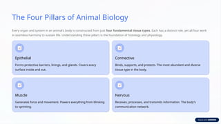 The Architecture of Life: Exploring the Four Fundamental Animal Tissue ...