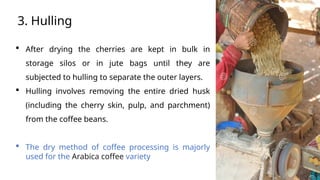 The-Art-and-Science-of-Coffee-Processing (1).pptx