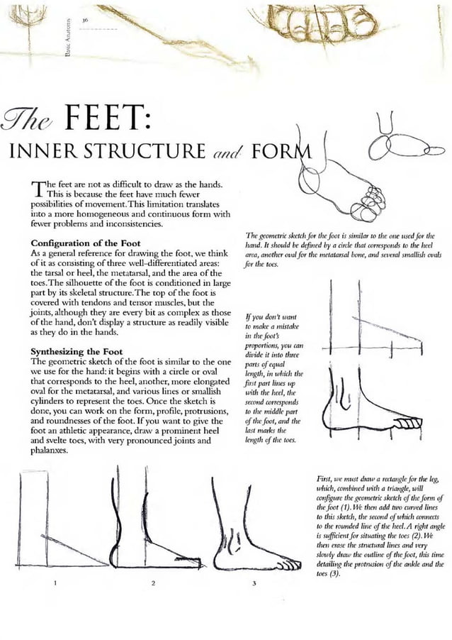 The art-of-drawing-the-human-body | PDF