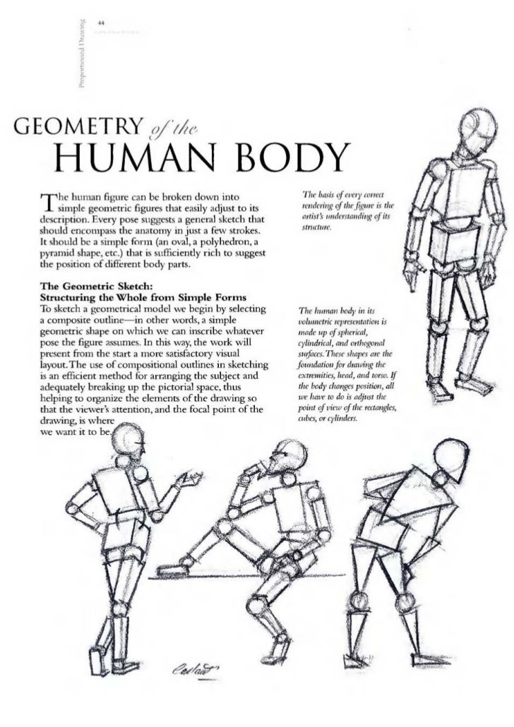 The art-of-drawing-the-human-body