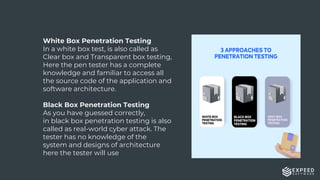 The Art of Penetration Testing in Cybersecurity. | PDF