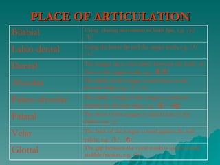 The Articulation Of Consonants | PPT